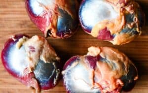 The Best Fried Gizzards Recipe - Wild Game & Fish