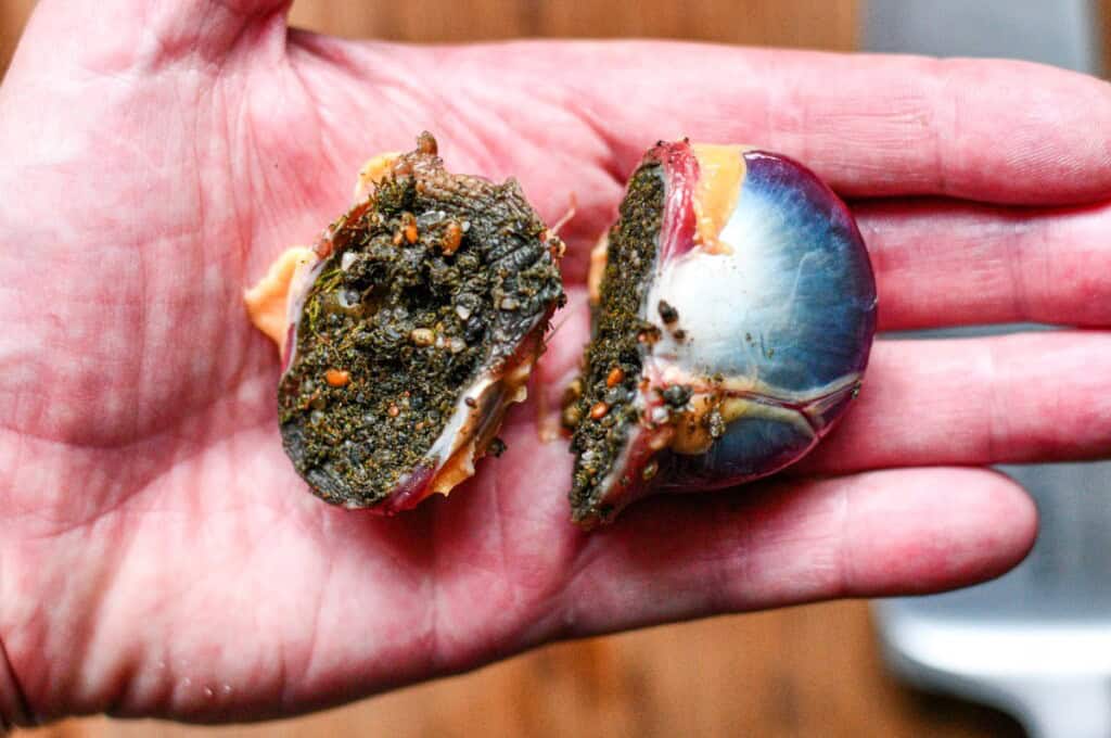 The Best Fried Gizzards Recipe - Wild Game & Fish