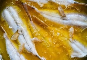 The Best Butter Poached Northern Puffer Fish Recipe - Wild Game & Fish