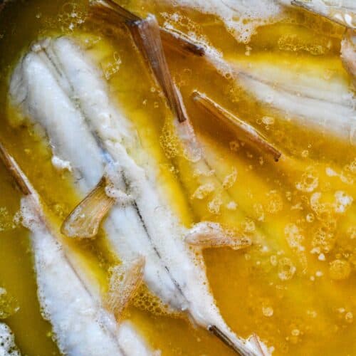 The Best Butter Poached Northern Puffer Fish Recipe - Wild Game & Fish