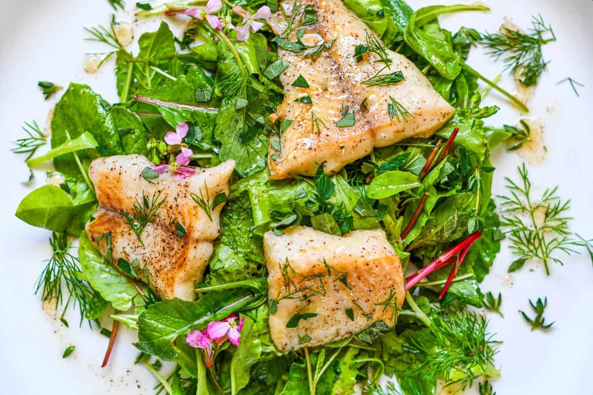 Pan Seared Northern Pike and Radish Greens Salad Recipe - Wild Game & Fish