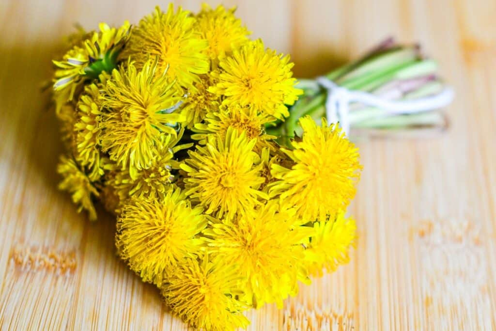 How to Make Dandelion Tea - Wild Game & Fish