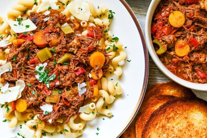 Slow Cooker Goose Ragu - Wild Game & Fish